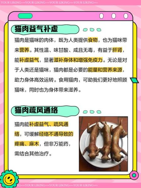 猫肉火锅好吃吗_猫肉火锅合法吗-第1张图片-山城妙识 猫肉火锅好吃吗_猫肉火锅合法吗-第1张图片-山城妙识