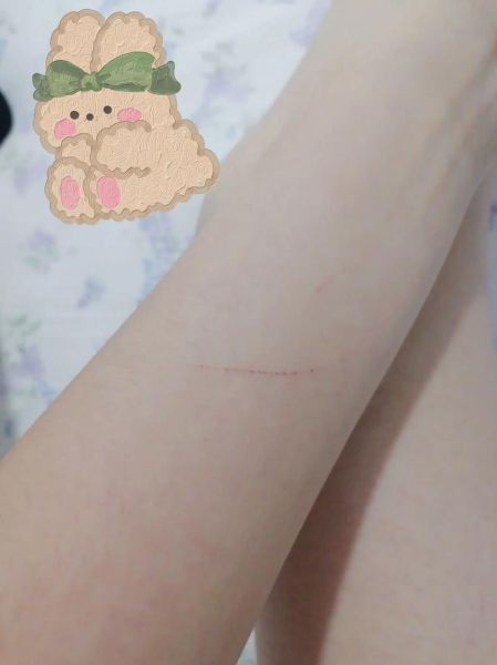 猫肉火锅好吃吗_猫肉火锅合法吗-第3张图片-山城妙识 猫肉火锅好吃吗_猫肉火锅合法吗-第3张图片-山城妙识