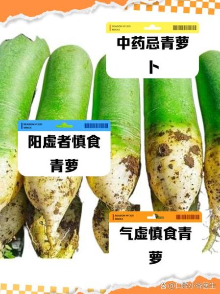青萝卜的功效与作用及禁忌_青萝卜不能和什么一起吃-第1张图片-山城妙识