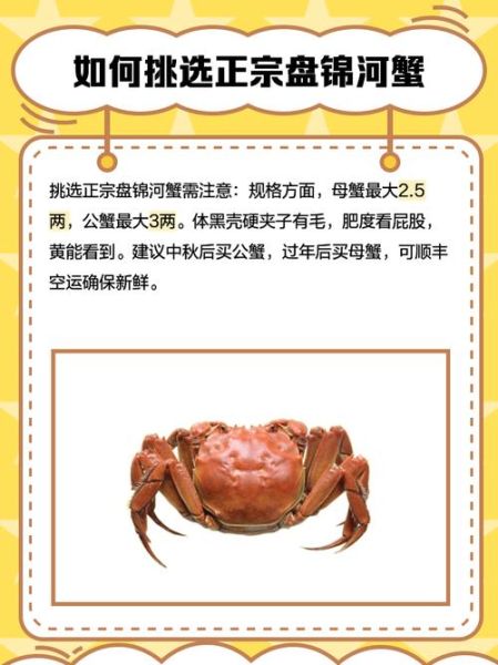 河蟹养殖基地选址要求_河蟹养殖基地投资多少钱-第1张图片-山城妙识