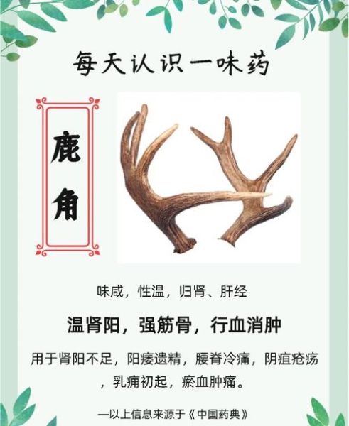 鹿角胶怎么吃_鹿角胶适合哪些人-第1张图片-山城妙识 鹿角胶怎么吃_鹿角胶适合哪些人-第1张图片-山城妙识