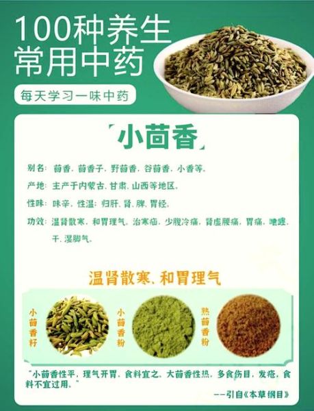 小茴香是什么调料_小茴香的用法和作用-第1张图片-山城妙识 小茴香是什么调料_小茴香的用法和作用-第1张图片-山城妙识