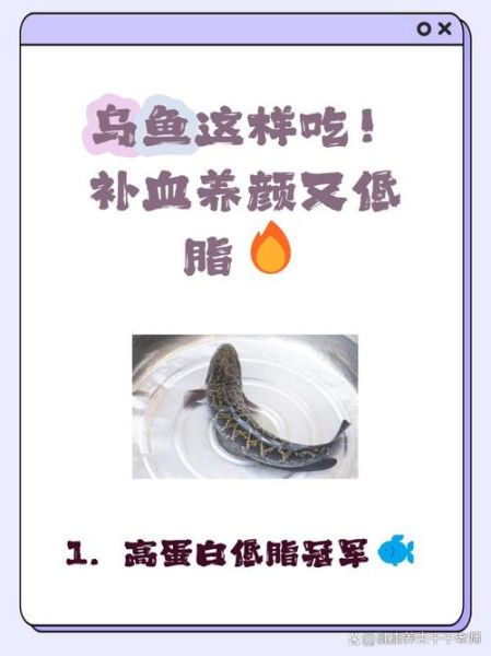 孕妇乌鱼汤的做法_乌鱼汤对孕妇有什么好处-第2张图片-山城妙识