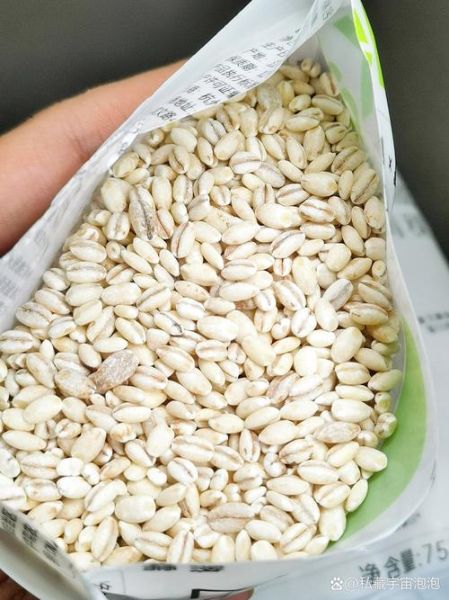 青稞米怎么煮_青稞米适合什么人吃-第1张图片-山城妙识 青稞米怎么煮_青稞米适合什么人吃-第1张图片-山城妙识