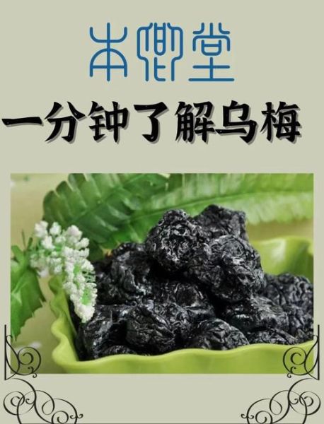 新疆乌梅的功效与作用_新疆乌梅怎么吃最养生-第1张图片-山城妙识 新疆乌梅的功效与作用_新疆乌梅怎么吃最养生-第1张图片-山城妙识