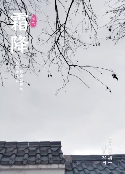 霜降图片唯美_如何拍出诗意氛围-第2张图片-山城妙识 霜降图片唯美_如何拍出诗意氛围-第2张图片-山城妙识