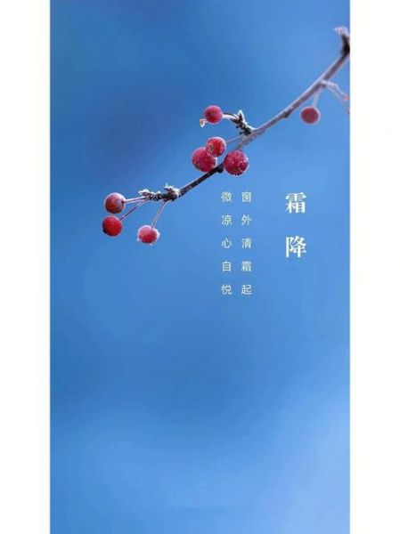 霜降图片唯美_如何拍出诗意氛围-第1张图片-山城妙识 霜降图片唯美_如何拍出诗意氛围-第1张图片-山城妙识