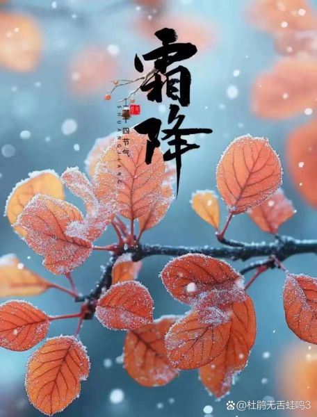 霜降图片唯美_如何拍出诗意氛围-第3张图片-山城妙识 霜降图片唯美_如何拍出诗意氛围-第3张图片-山城妙识