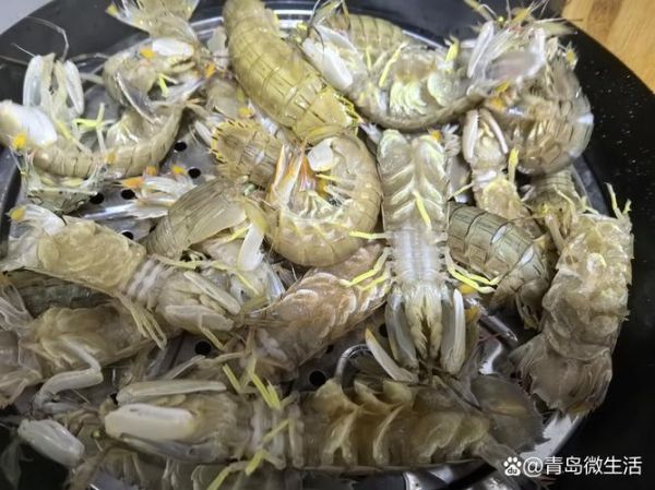 虾婆婆多少钱一斤_虾婆婆价格行情-第3张图片-山城妙识