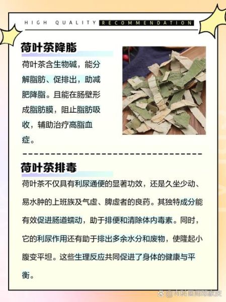 荷叶茶的功效与作用_荷叶的禁忌有哪些-第1张图片-山城妙识