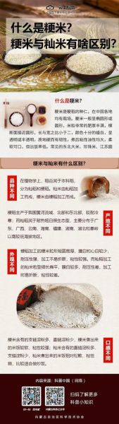 粳米和籼米哪个更营养_粳米籼米营养差异-第3张图片-山城妙识