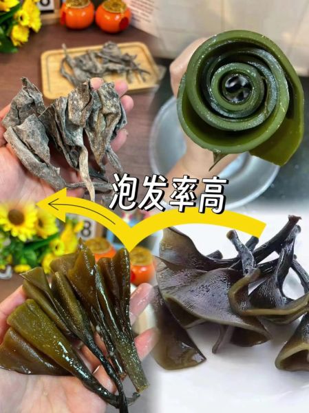 海带宝怎么样_海带宝转运靠谱吗-第3张图片-山城妙识