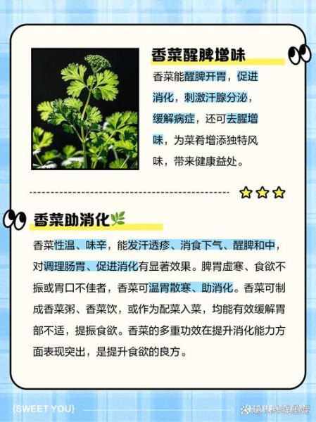 香菜的功效与作用有哪些好处_吃香菜真的能排毒吗-第1张图片-山城妙识 香菜的功效与作用有哪些好处_吃香菜真的能排毒吗-第1张图片-山城妙识