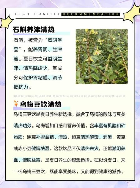 阴虚火旺喝什么茶_阴虚火旺适合喝什么茶-第3张图片-山城妙识