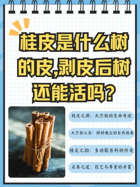 桂皮树剥了皮会死吗_桂皮树剥皮后还能活多久-第1张图片-山城妙识