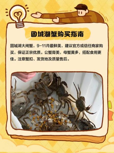 固城湖大闸蟹什么时候上市_固城湖大闸蟹上市时间-第1张图片-山城妙识 固城湖大闸蟹什么时候上市_固城湖大闸蟹上市时间-第1张图片-山城妙识