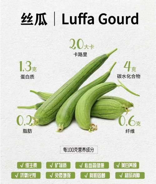丝瓜功效与作用及禁忌_什么人不能吃丝瓜-第1张图片-山城妙识