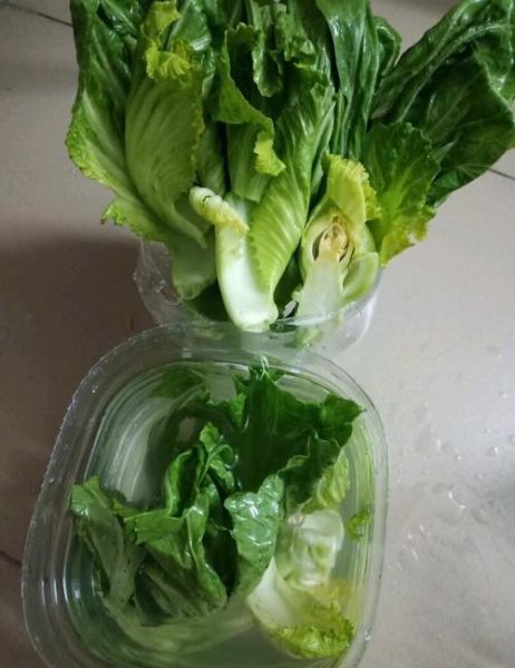 酸菜怎么腌制才脆_酸菜做法视频详细步骤-第2张图片-山城妙识