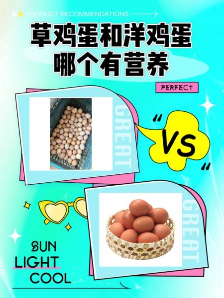 草鸡蛋和洋鸡蛋哪个有营养_草鸡蛋和洋鸡蛋营养价值对比-第1张图片-山城妙识