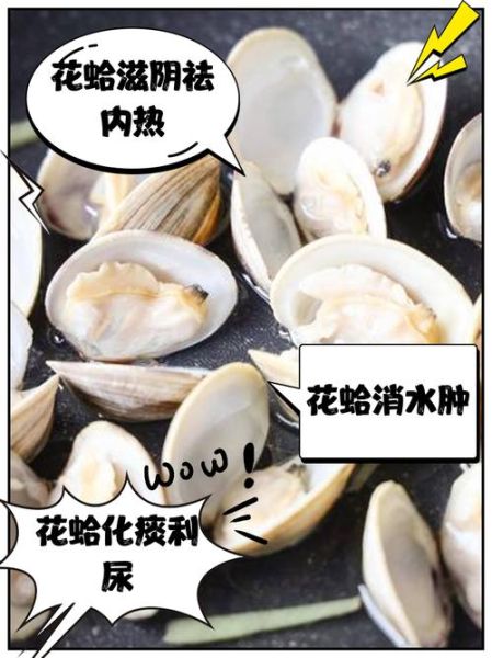 油蛤蜊的功效与作用_油蛤蜊怎么吃最营养-第1张图片-山城妙识 油蛤蜊的功效与作用_油蛤蜊怎么吃最营养-第1张图片-山城妙识