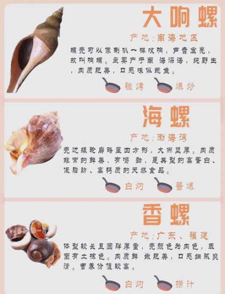 食用螺类大全_哪些螺可以安全吃-第2张图片-山城妙识 食用螺类大全_哪些螺可以安全吃-第2张图片-山城妙识