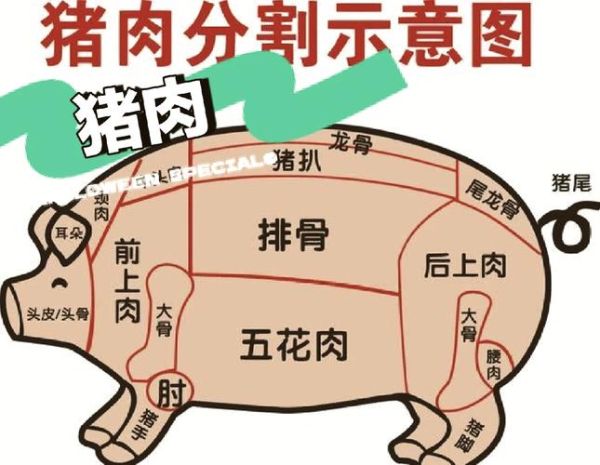 三线肉和五花肉的区别_哪个部位更肥-第2张图片-山城妙识