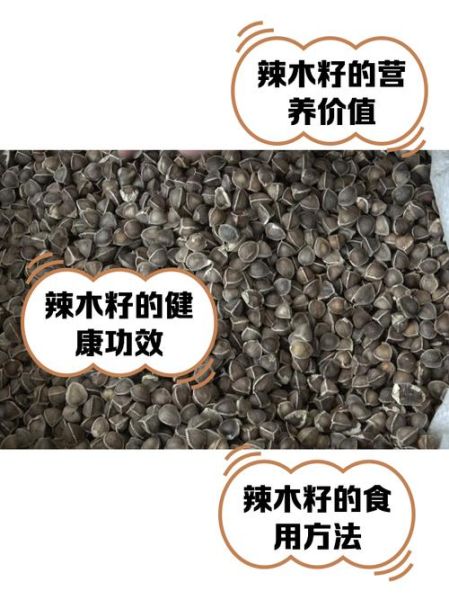 辣木籽一天吃几粒_辣木籽怎么吃才正确-第3张图片-山城妙识 辣木籽一天吃几粒_辣木籽怎么吃才正确-第3张图片-山城妙识