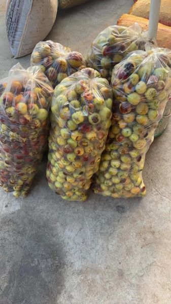 花生网花生价格_今日花生多少钱一斤-第1张图片-山城妙识 花生网花生价格_今日花生多少钱一斤-第1张图片-山城妙识