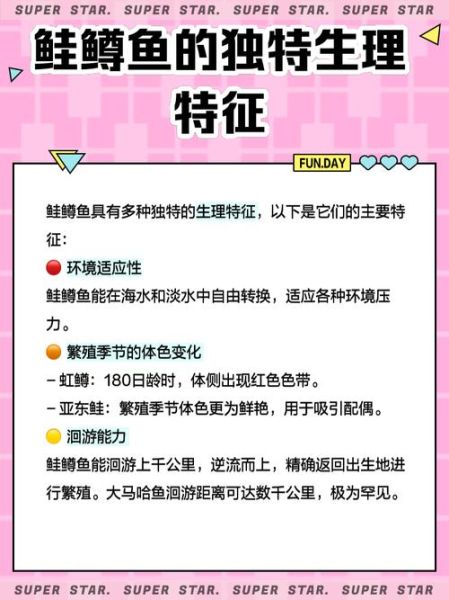 鳟鱼歌曲创作背景_鳟鱼歌词中文翻译-第3张图片-山城妙识