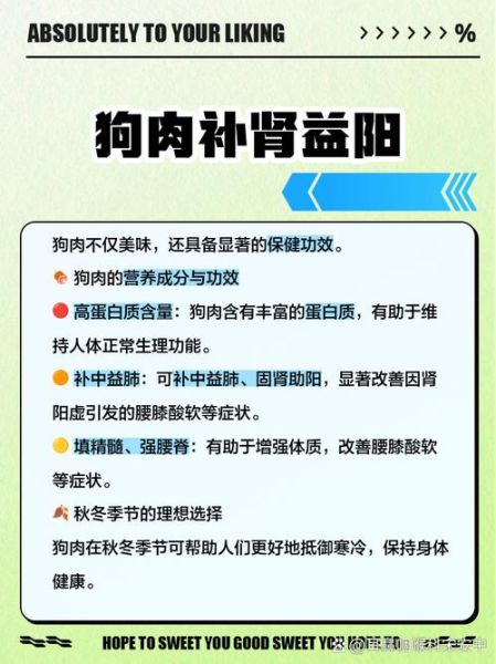 狗肉的功效与作用禁忌_非虚寒症能吃狗肉吗-第1张图片-山城妙识