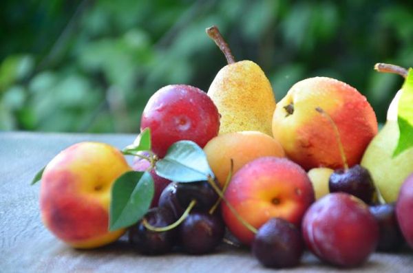 秋天有哪些水果成熟了_秋季应季水果推荐-第2张图片-山城妙识 秋天有哪些水果成熟了_秋季应季水果推荐-第2张图片-山城妙识