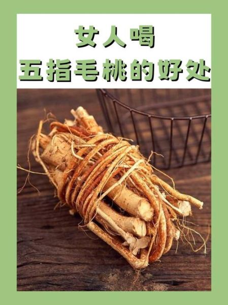 五指毛桃的功效与作用_五指毛桃的禁忌人群-第2张图片-山城妙识 五指毛桃的功效与作用_五指毛桃的禁忌人群-第2张图片-山城妙识