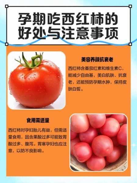 孕妇能吃柿子吗孕晚期_孕晚期吃柿子注意事项-第2张图片-山城妙识 孕妇能吃柿子吗孕晚期_孕晚期吃柿子注意事项-第2张图片-山城妙识