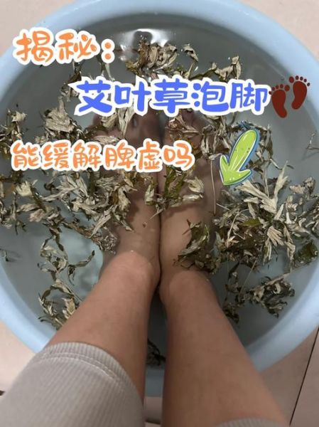 艾草泡脚的功效与作用_艾草泡脚的禁忌有哪些-第1张图片-山城妙识 艾草泡脚的功效与作用_艾草泡脚的禁忌有哪些-第1张图片-山城妙识