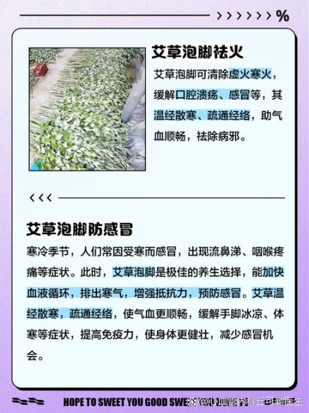 艾草泡脚的功效与作用_艾草泡脚的禁忌有哪些-第2张图片-山城妙识 艾草泡脚的功效与作用_艾草泡脚的禁忌有哪些-第2张图片-山城妙识