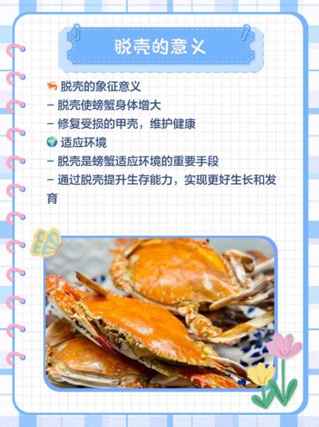 螃蟹在剥我的壳是什么意思_网络梗三层含义解析-第1张图片-山城妙识