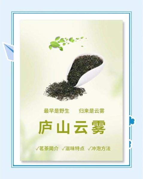 庐山云雾茶多少钱一斤_庐山云雾茶属于什么档次-第2张图片-山城妙识