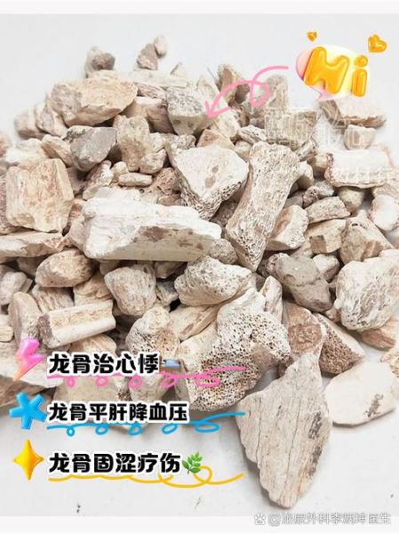 生龙骨的功效与作用_生龙骨怎么吃效果最好-第1张图片-山城妙识 生龙骨的功效与作用_生龙骨怎么吃效果最好-第1张图片-山城妙识