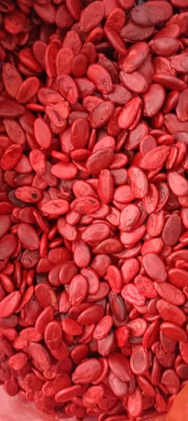 红瓜子图片怎么拍好看_红瓜子图片拍摄技巧-第1张图片-山城妙识