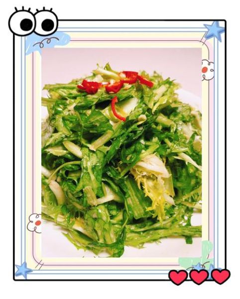 苦菊怎么凉拌好吃_凉拌苦菊要不要焯水-第1张图片-山城妙识 苦菊怎么凉拌好吃_凉拌苦菊要不要焯水-第1张图片-山城妙识