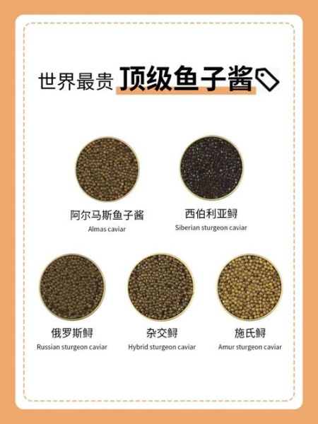 顶级鱼子酱多少钱一斤_正宗鲟鱼子酱价格-第1张图片-山城妙识