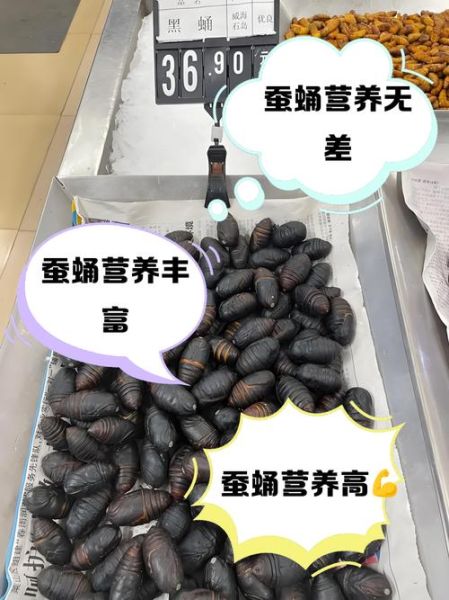 黄蚕蛹和黑蚕蛹哪个营养高_区别在哪-第2张图片-山城妙识 黄蚕蛹和黑蚕蛹哪个营养高_区别在哪-第2张图片-山城妙识