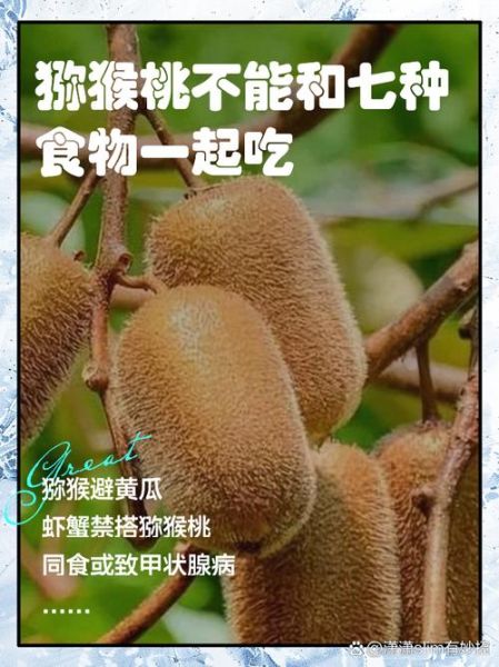猕猴桃的功效与作用_猕猴桃的禁忌人群-第2张图片-山城妙识 猕猴桃的功效与作用_猕猴桃的禁忌人群-第2张图片-山城妙识