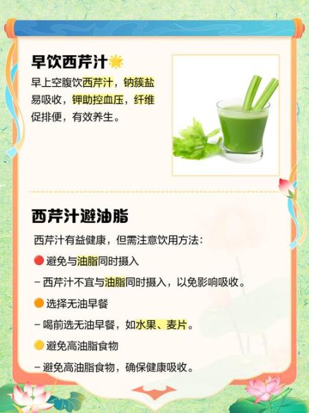 西芹汁什么时候喝减肥最好_西芹汁空腹喝还是饭后喝-第1张图片-山城妙识 西芹汁什么时候喝减肥最好_西芹汁空腹喝还是饭后喝-第1张图片-山城妙识