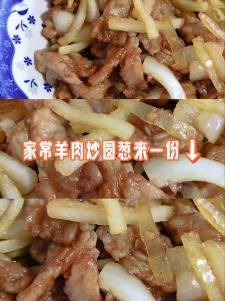 羊肉片炒洋葱怎么做_羊肉片炒洋葱窍门-第3张图片-山城妙识 羊肉片炒洋葱怎么做_羊肉片炒洋葱窍门-第3张图片-山城妙识