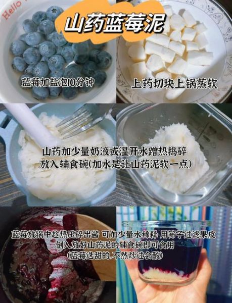 蓝莓山药泥怎么做_婴儿辅食蓝莓山药泥做法-第1张图片-山城妙识