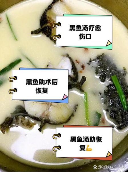 黑鱼汤怎么做最补伤口_术后喝黑鱼汤多久见效-第2张图片-山城妙识 黑鱼汤怎么做最补伤口_术后喝黑鱼汤多久见效-第2张图片-山城妙识