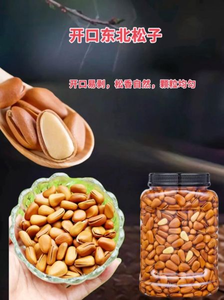 开口松子多少钱一斤_开口松子怎么保存-第1张图片-山城妙识
