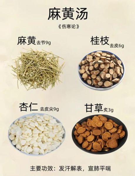 麻黄连翘赤小豆汤的功效与作用_适合哪些症状-第3张图片-山城妙识 麻黄连翘赤小豆汤的功效与作用_适合哪些症状-第3张图片-山城妙识