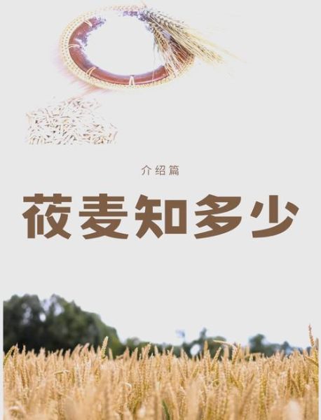 莜怎么读音_莜麦与莜面的区别-第1张图片-山城妙识 莜怎么读音_莜麦与莜面的区别-第1张图片-山城妙识